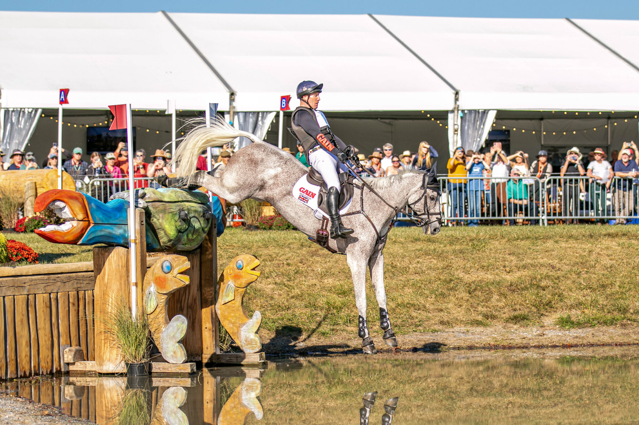 Entries for the 2025 MARS Maryland 5 Star at Fair Hill Announced ...