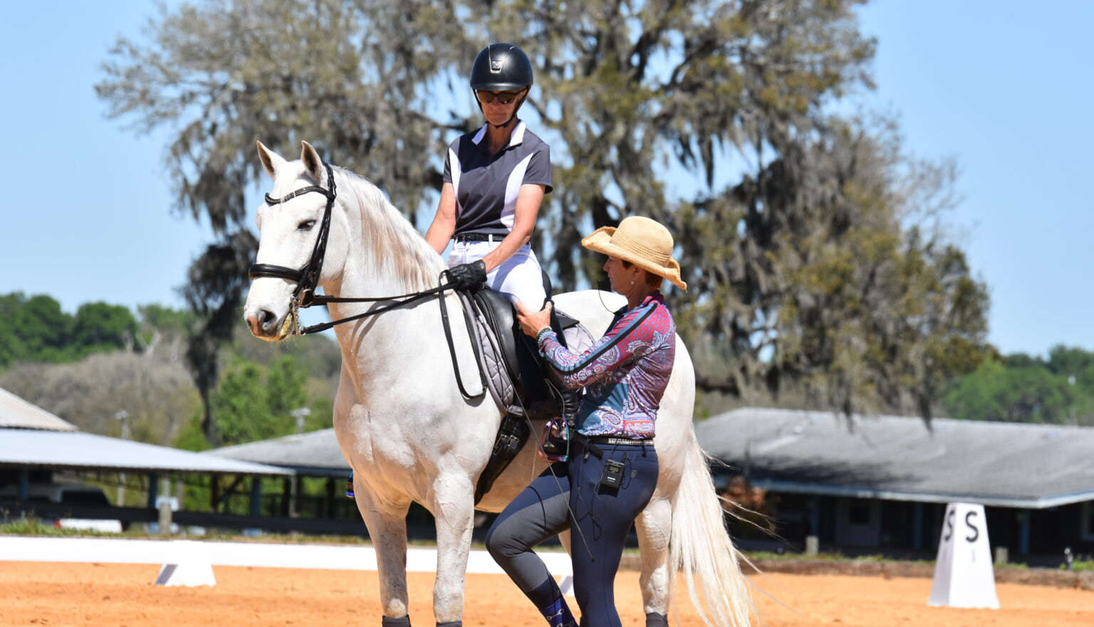 7 Position Fixes to Better Influence Your Horse - Practical Horseman