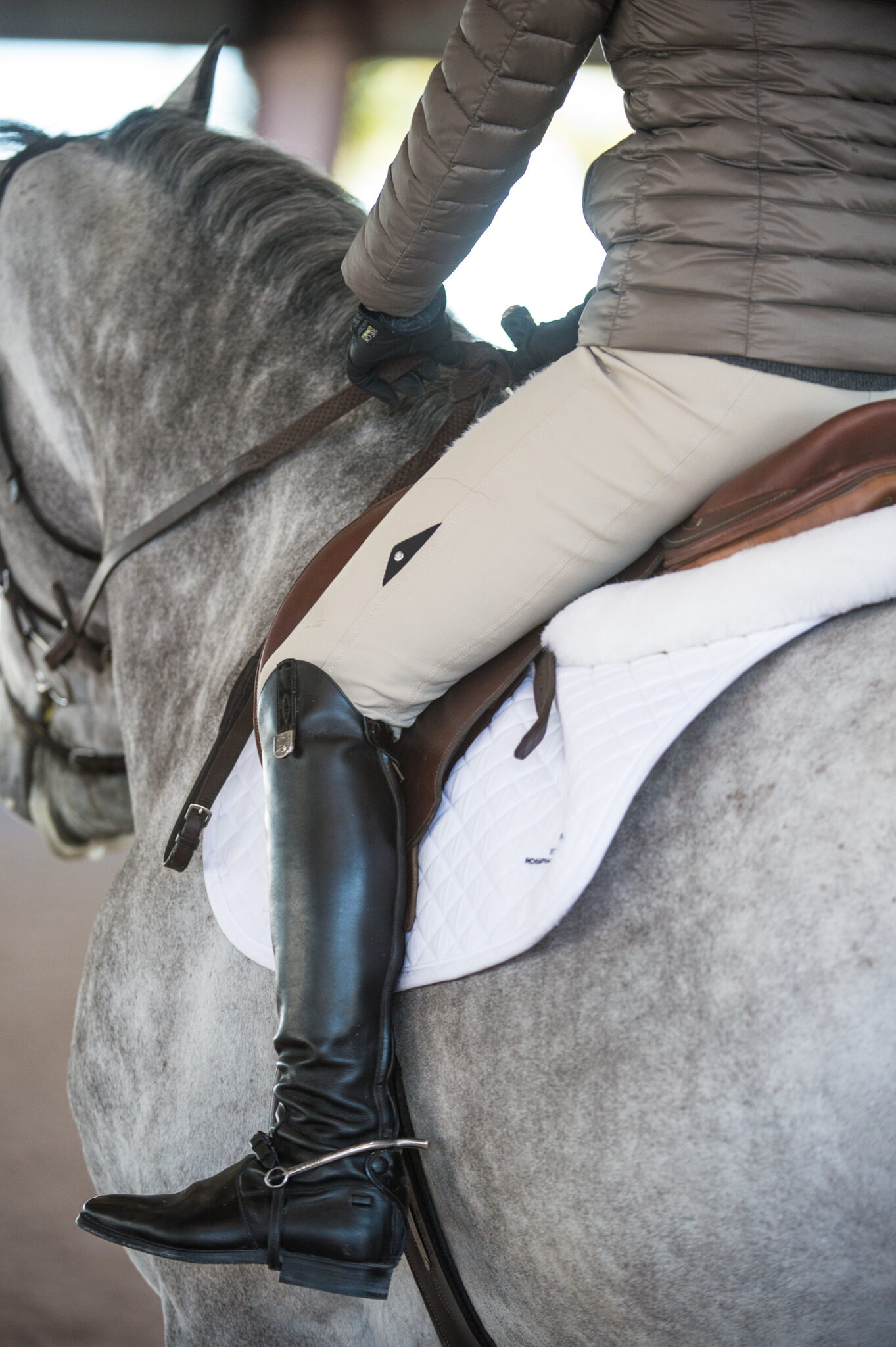 No-Stirrup November: Commit to a Better, More Independent Seat ...