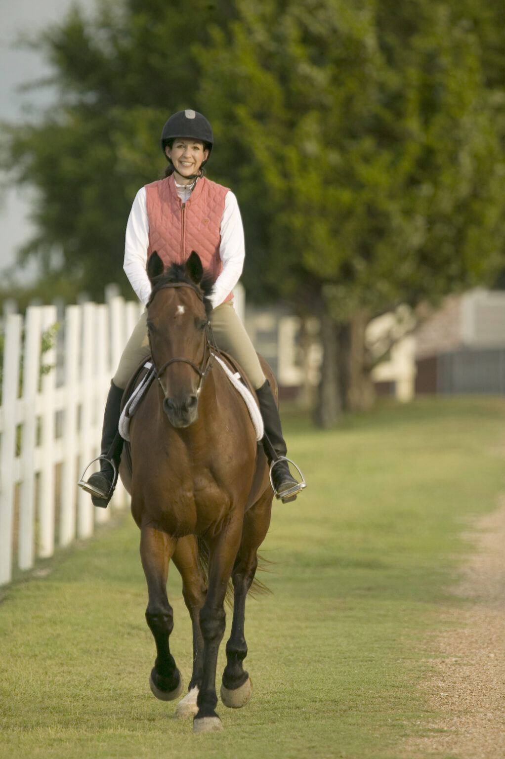 Embrace Your Many Horse Lives—and the Lessons They Taught You ...