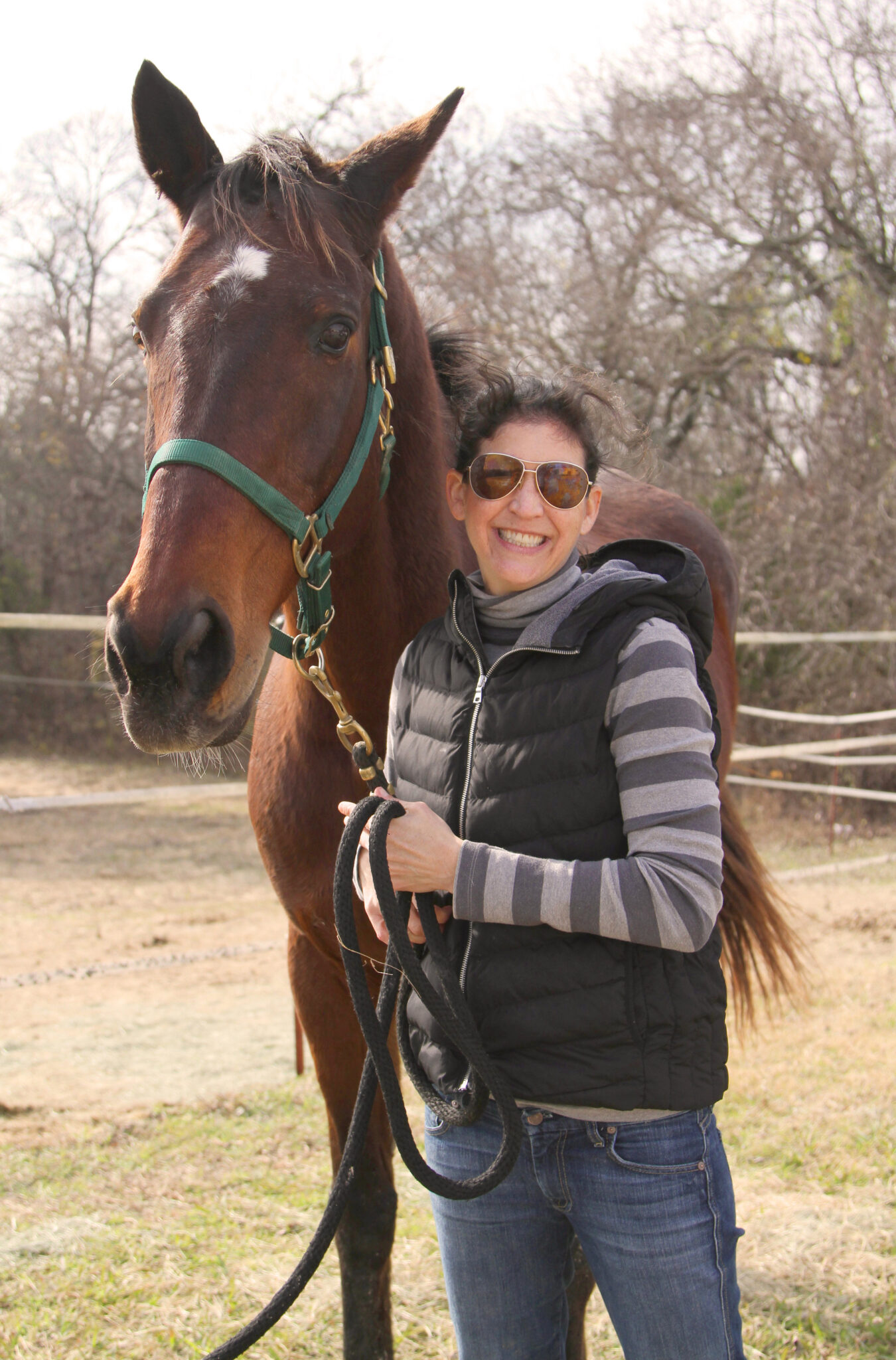 Embrace Your Many Horse Lives—and the Lessons They Taught You ...