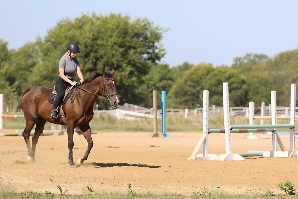 Beginners’ Corner: Demystifying Diagonals - Practical Horseman