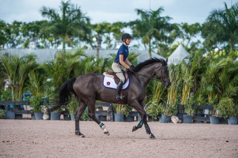 5 Tips to Stop Working So Hard in the Saddle - Practical Horseman