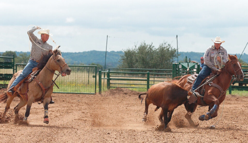 Make the Necessary Changes to Improve Your Roping