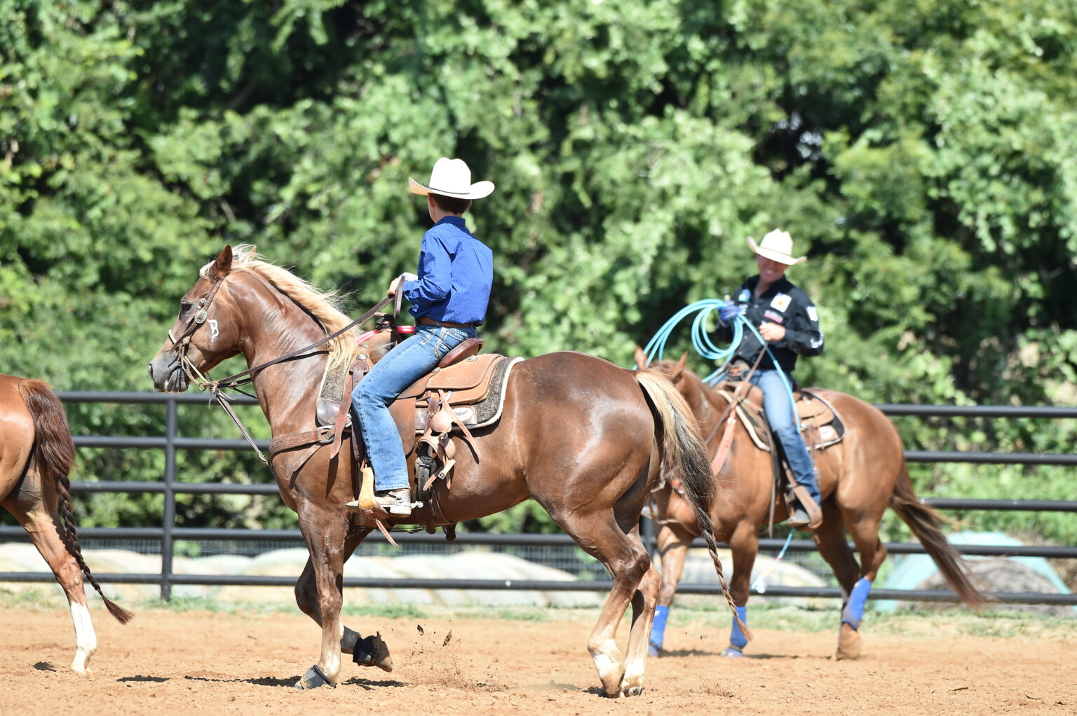 5 Habits to Keep Your Kids Safe in the Roping Arena
