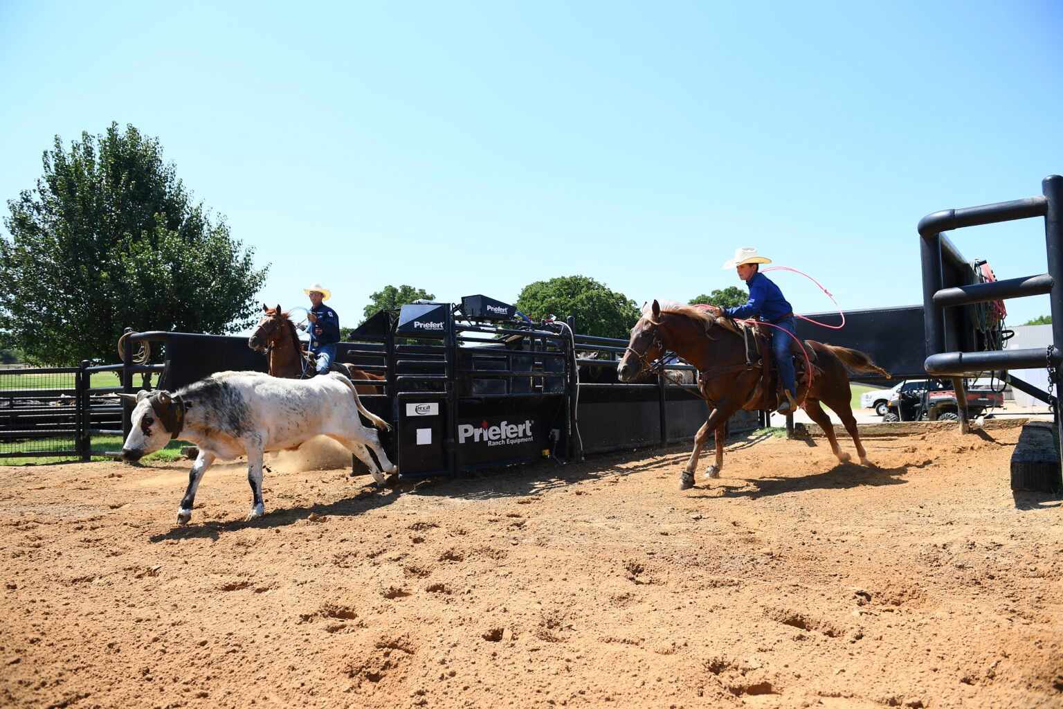 5 Habits to Keep Your Kids Safe in the Roping Arena