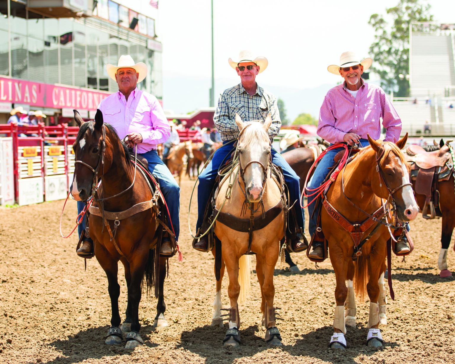Horses with a History - Rope Horses The Team Roping Journal