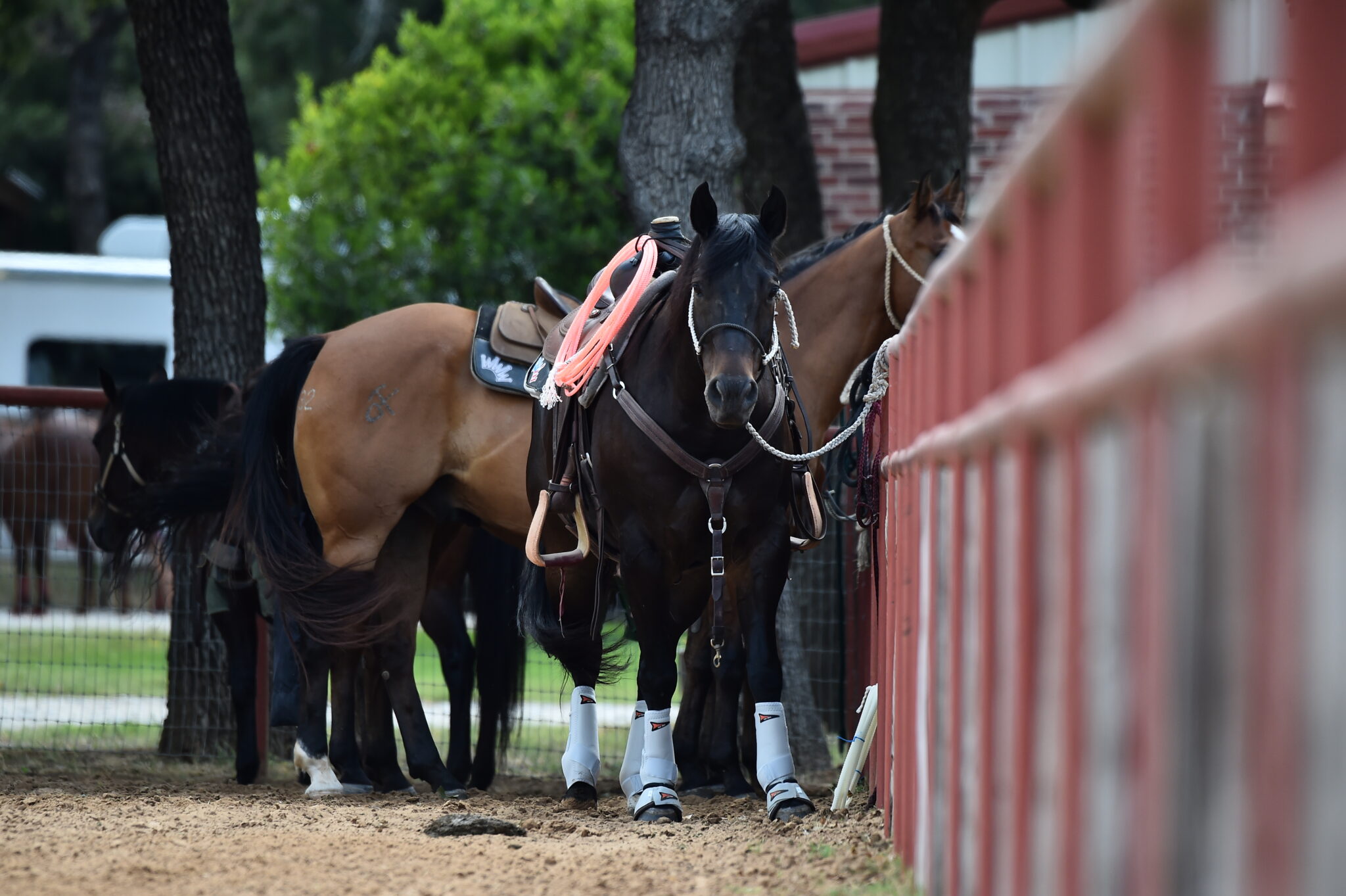 Buying & Selling 101