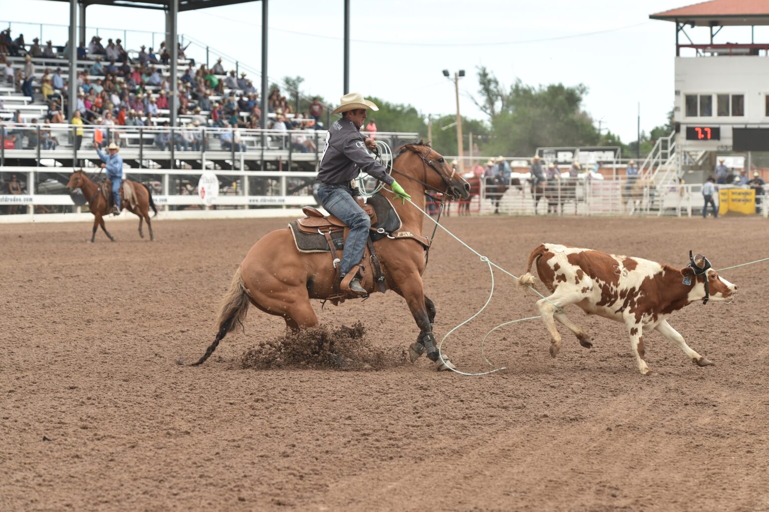 12 Things Anyone Can Master to Become a Better Roper with Patrick Smith
