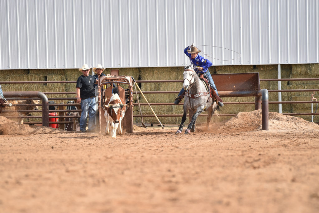 Practice Paradise: The Best in the World's Arena Dimensions