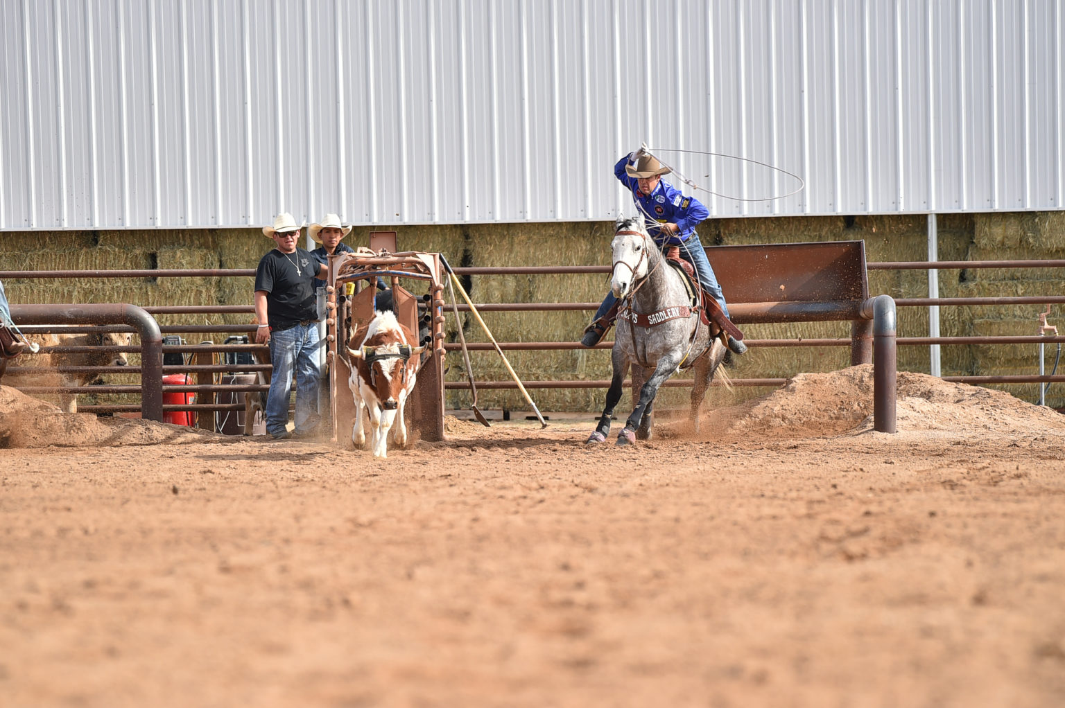 Practice Paradise: The Best in the World's Arena Dimensions