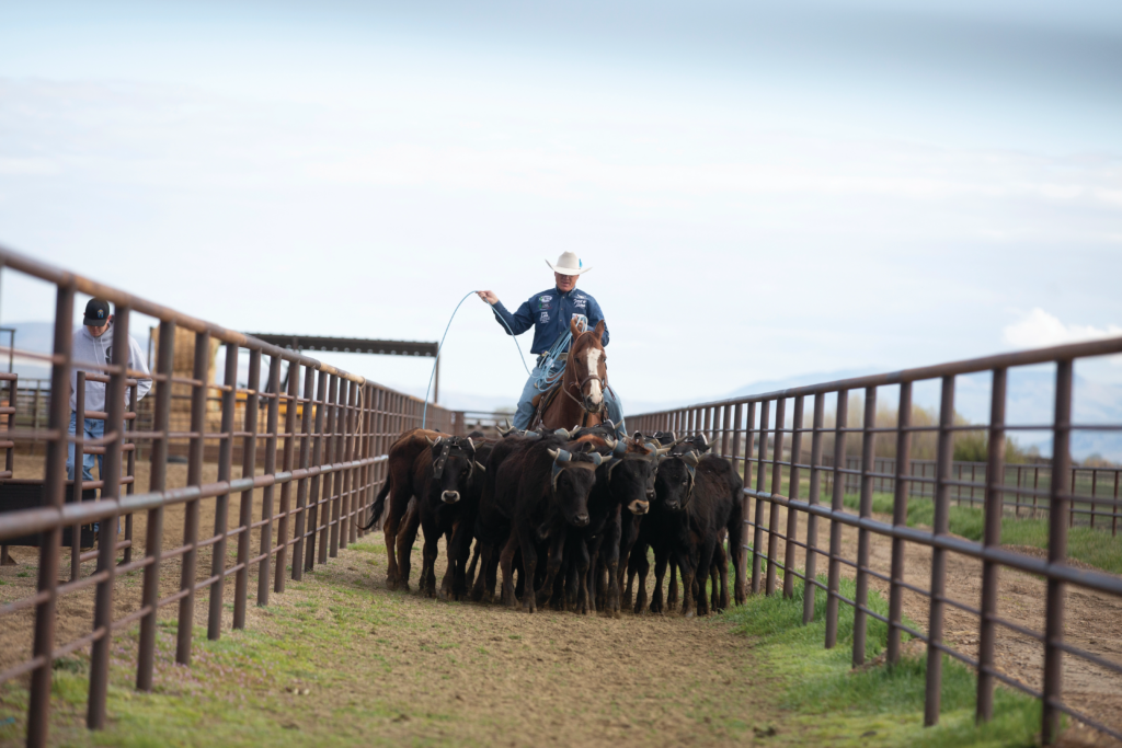 Maximizing Practice on Steers of All Speeds with Clay O'Brien Cooper