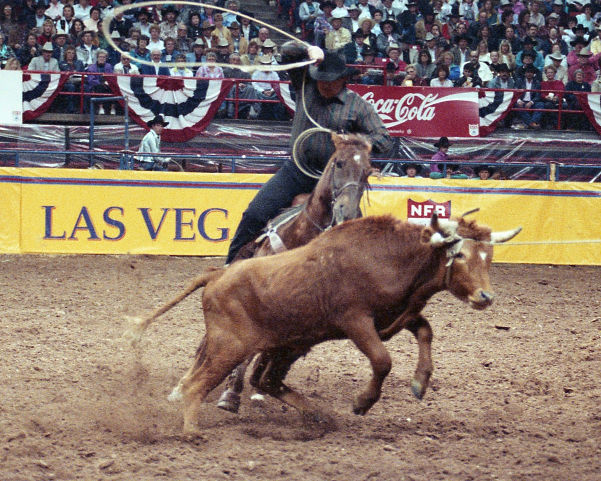 Catching Up with World Champion Heeler Bobby Harris