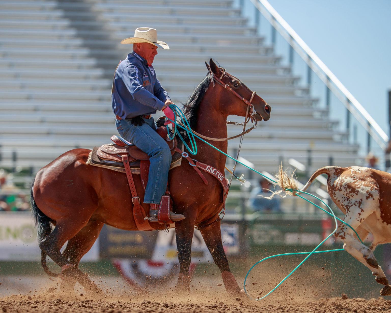Diving Into the Details with Clay O'Brien Cooper