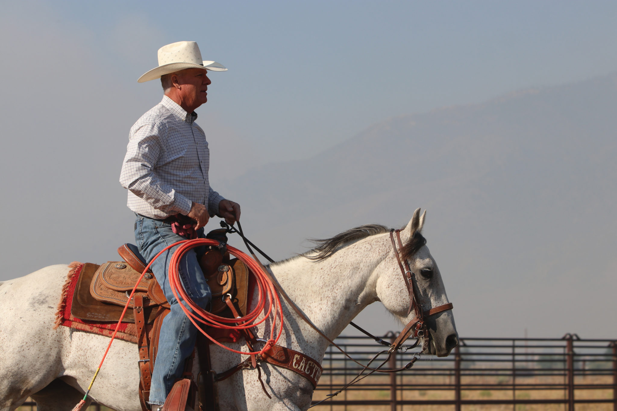 Successful Team Ropers Come in All Shapes and Sizes