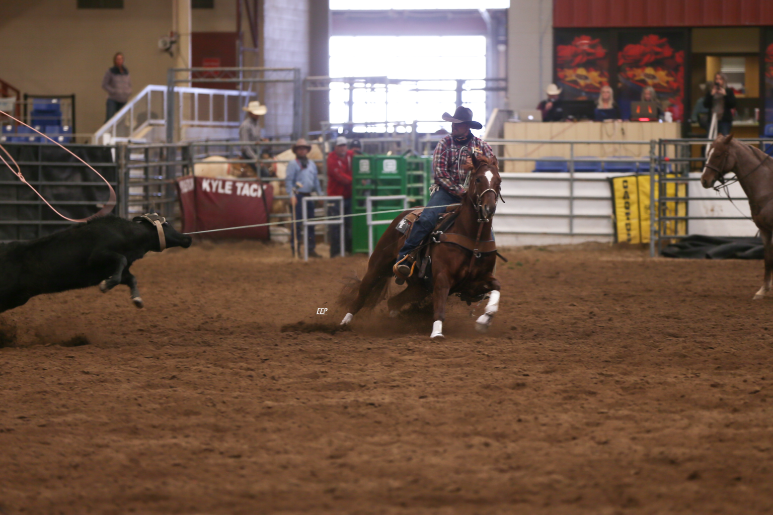 Holcomb Wins Royal Crown on Breakaway Horse Walkin The Dog