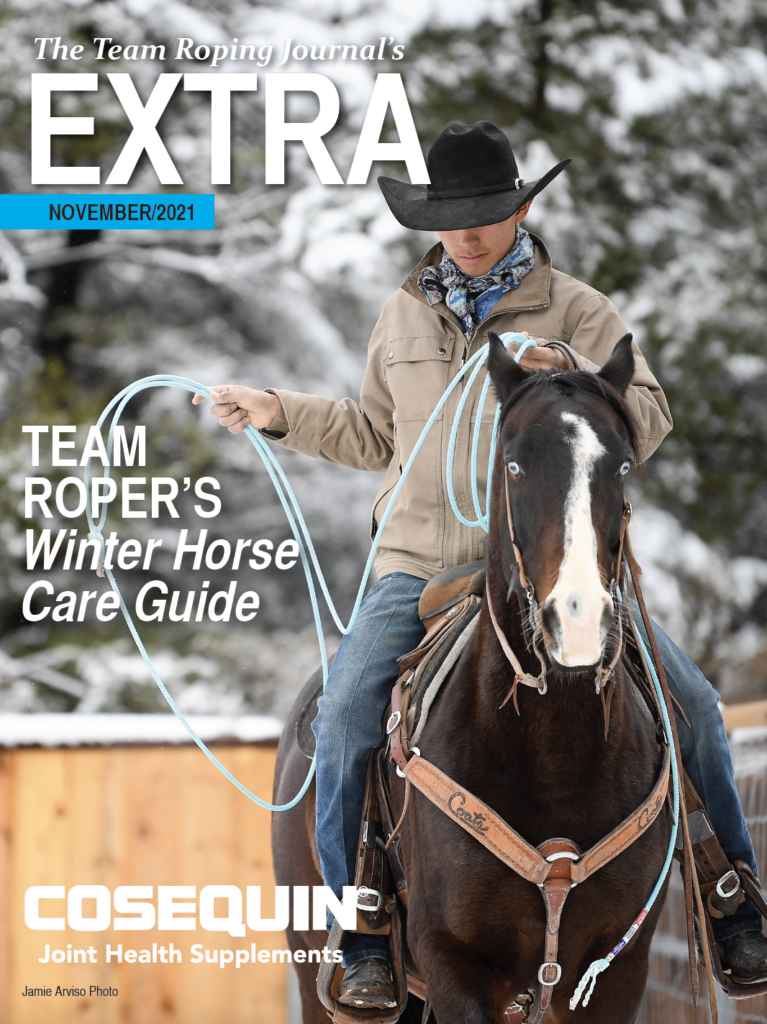 The Team Roper’s Winter Horse Care Guide