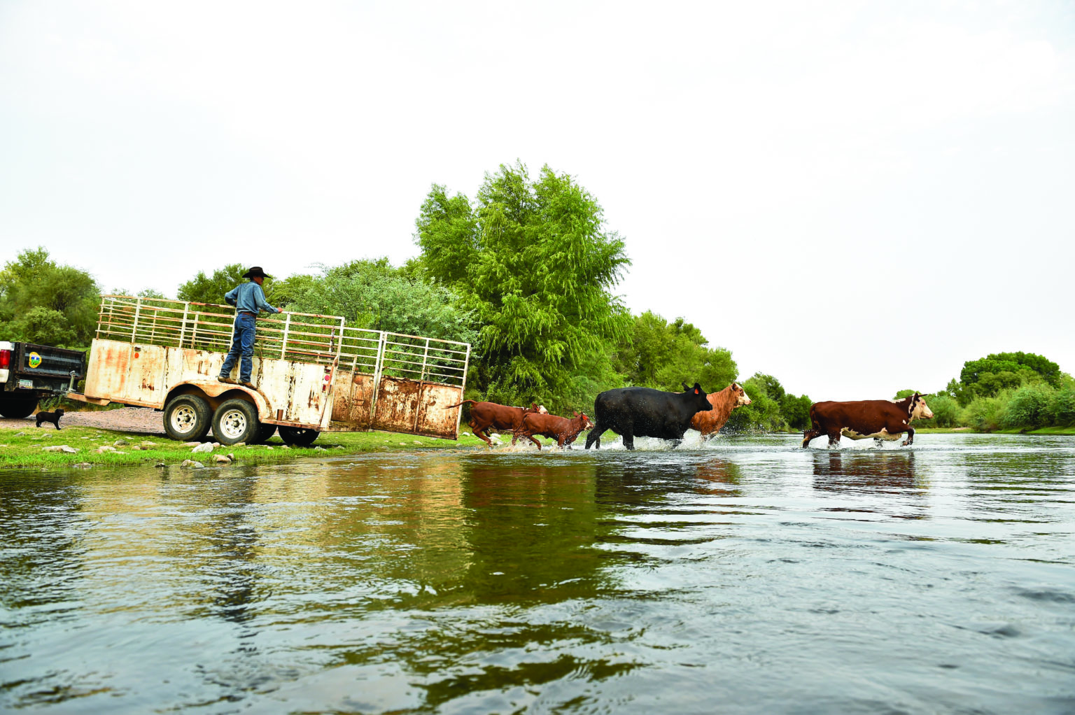 Life After Rodeo with Derrick Begay