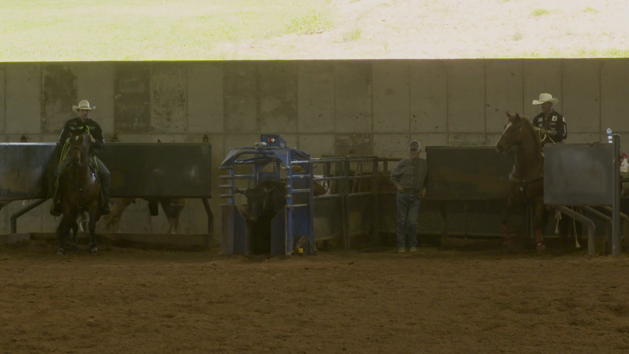 Trevor Brazile: How and Why Gag Bits Can Help Your Head Horse - The ...