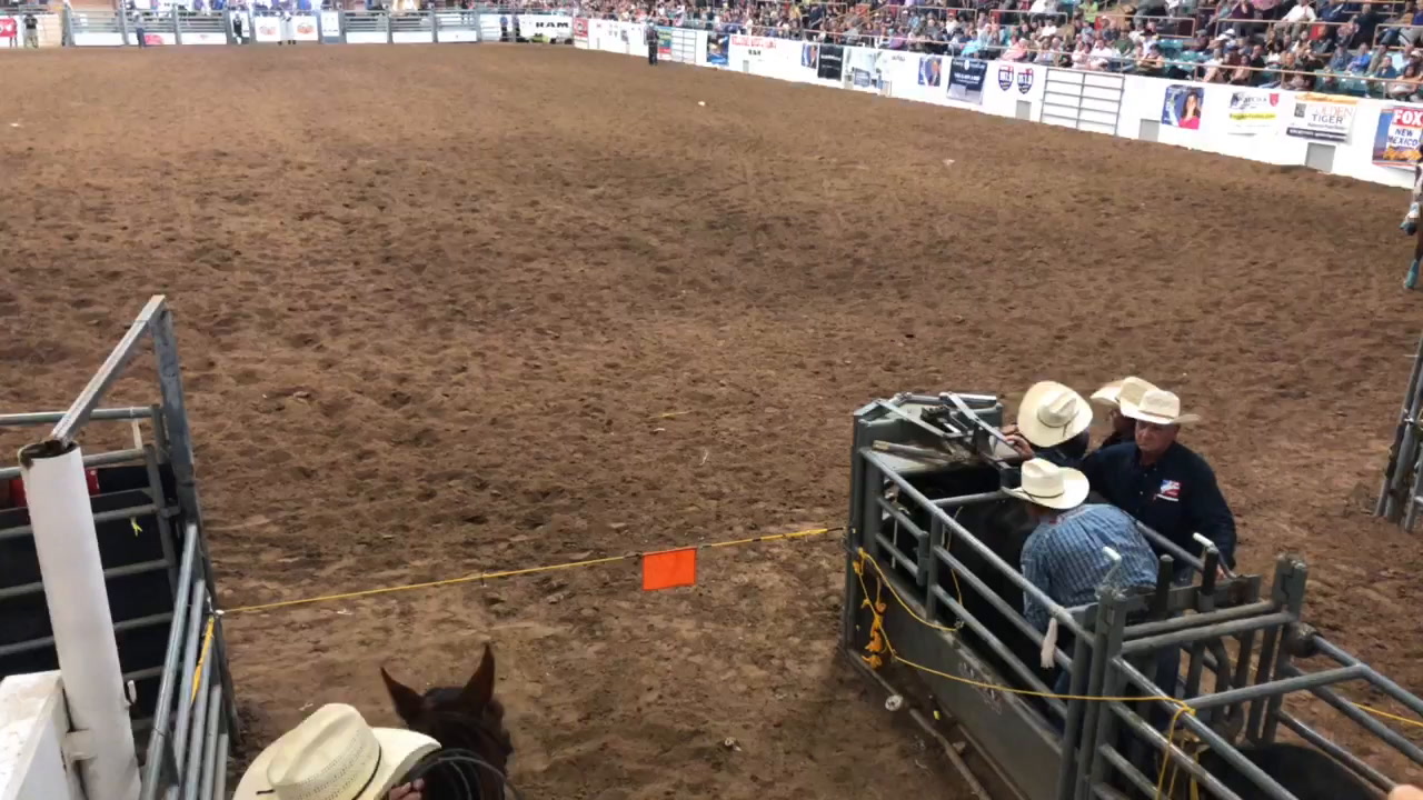 Spencer Mitchell and Cody Doescher Win Albuquerque - The Team Roping ...