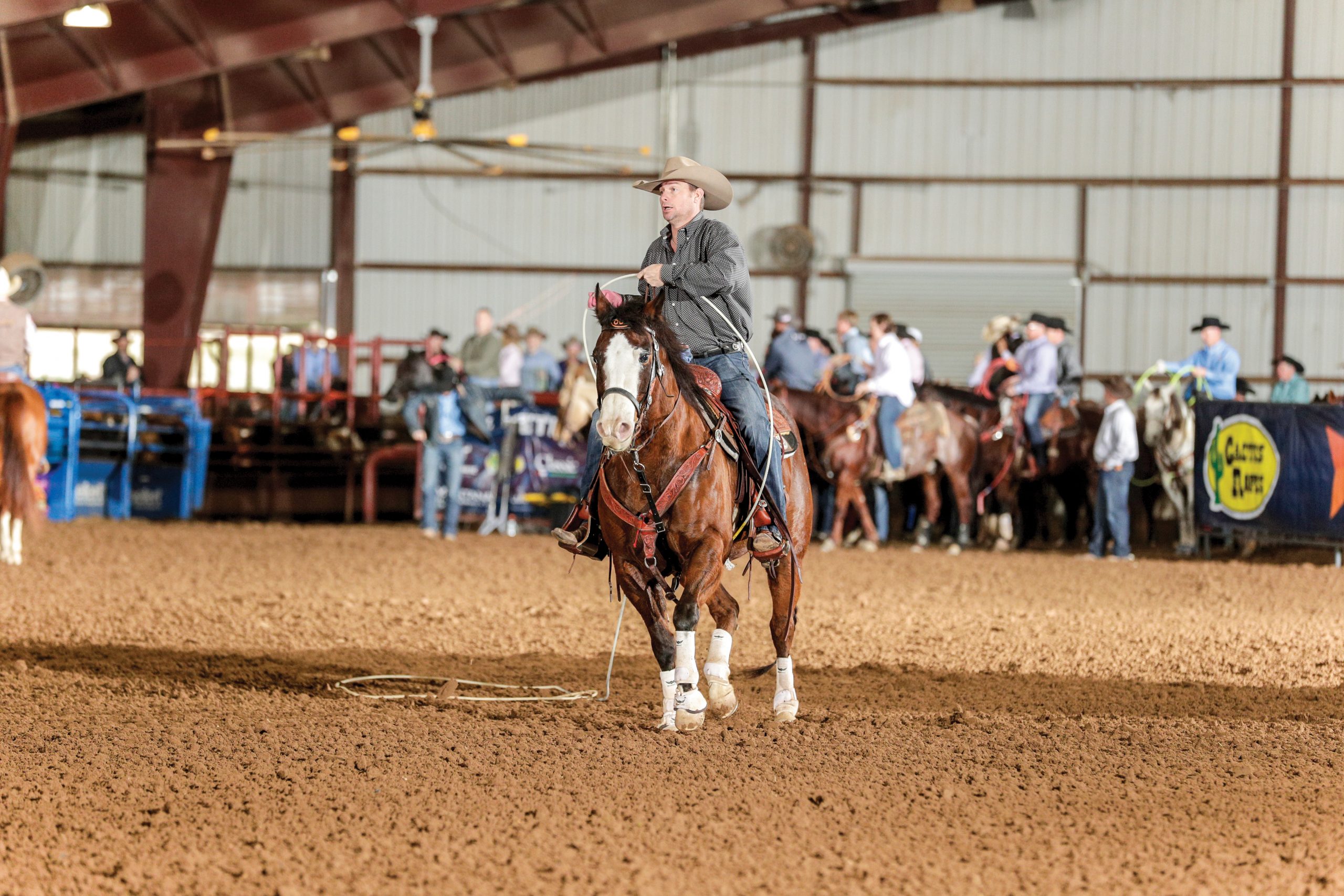 Knowing Your Horse In Jackpots or Rodeo Situations with Dustin Bird