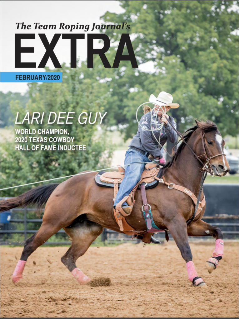 Team Roping Journal Extra Volume 2: Lari Dee Guy