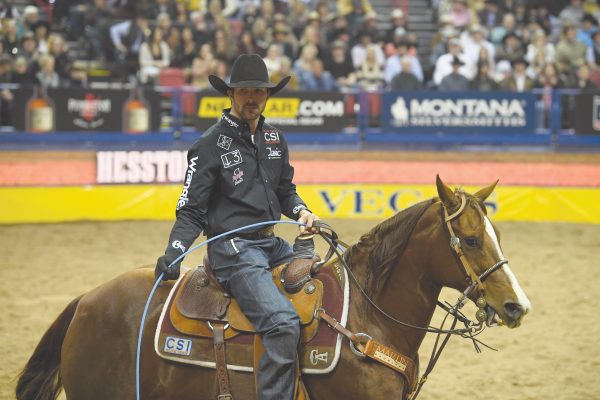 Caleb Anderson Stallion Auction - The Team Roping Journal