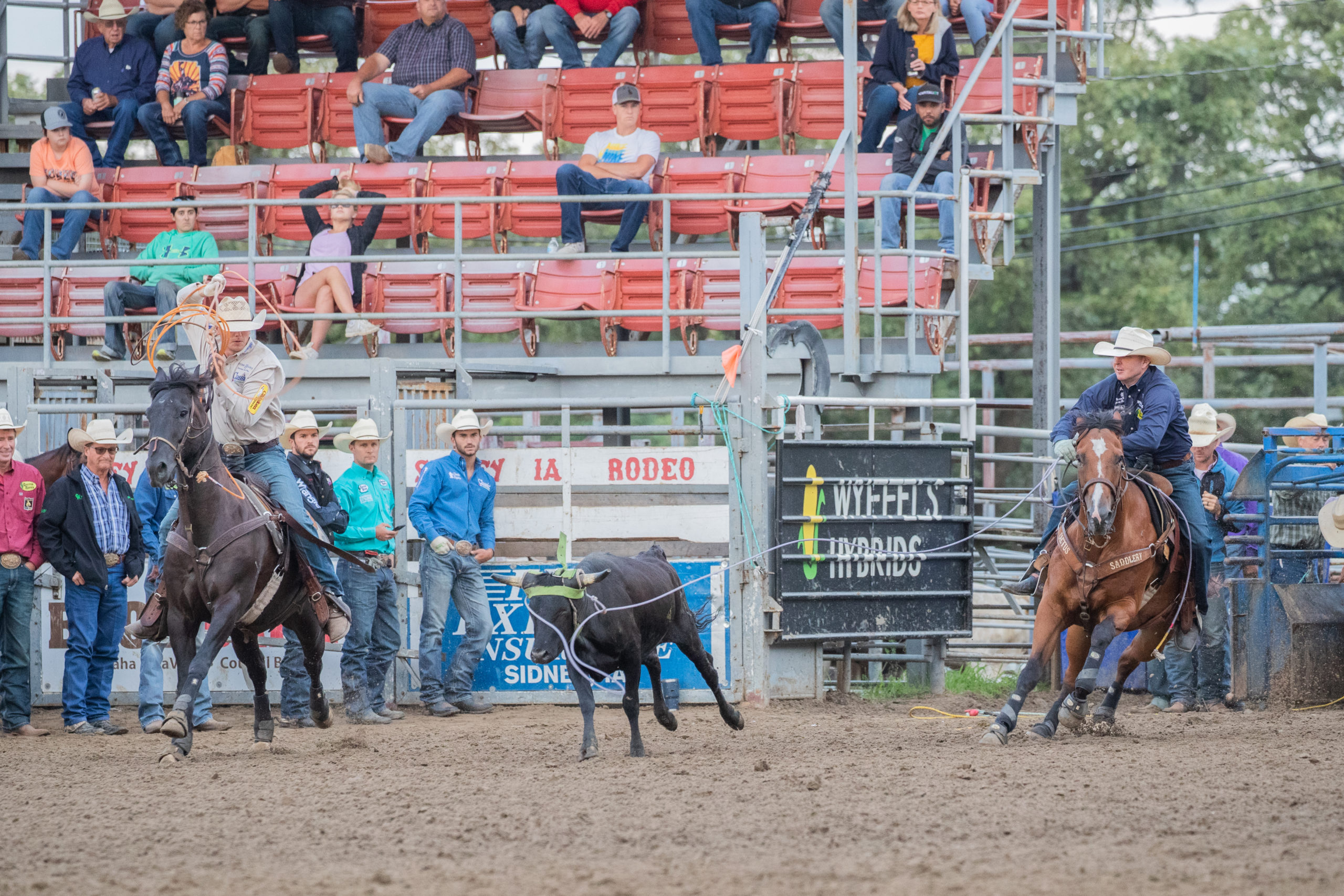 Masters and Thorp Dominate the State of Iowa