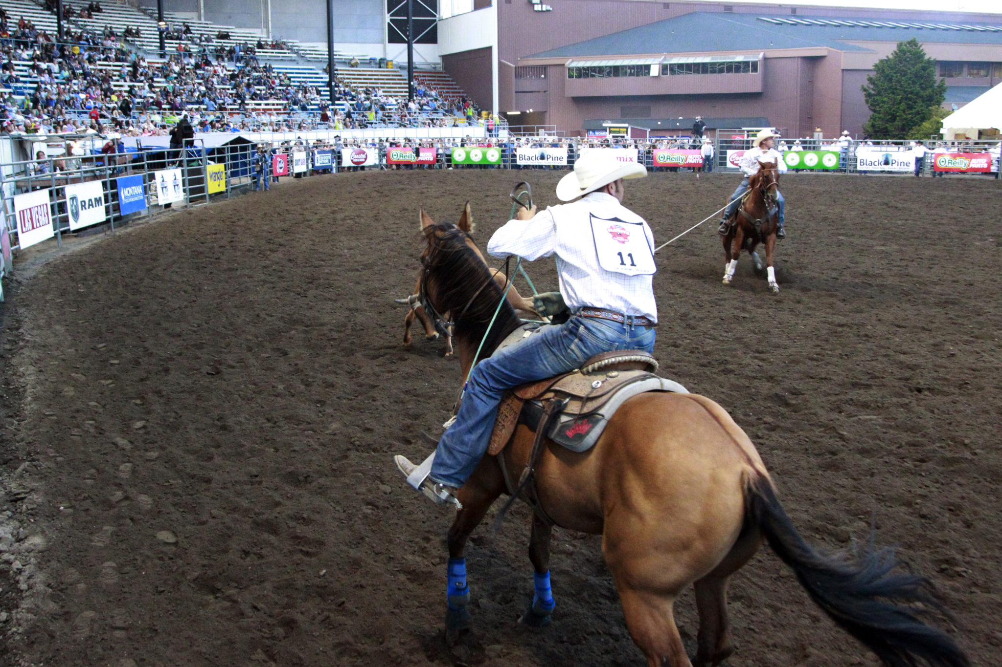 Partner Swap: Rhen Richard and Clint Summers to Rope Starting BFI Week