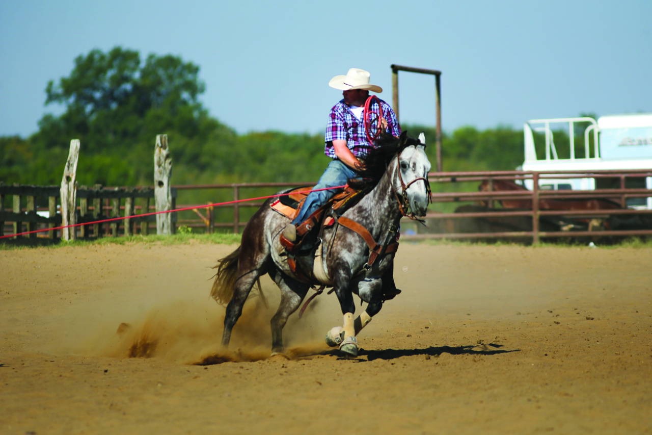 Philipp Ranch Horse Sale Adds Ariat WSTR Qualifier for 2020