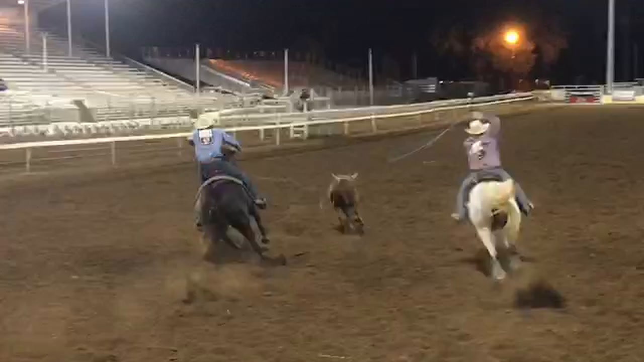 Reed and Shawnego Take California Circuit Finals Team Roping Title