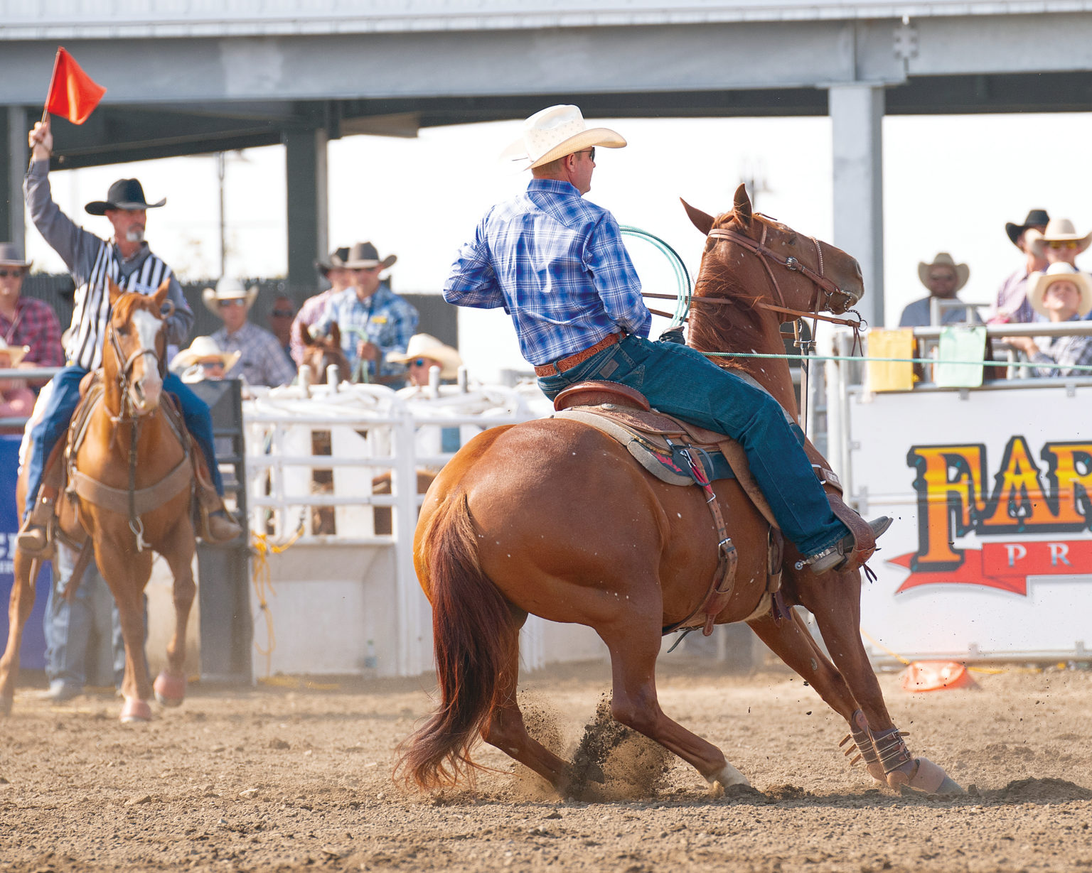 Brady Minor on Finding a Team Roping Horse