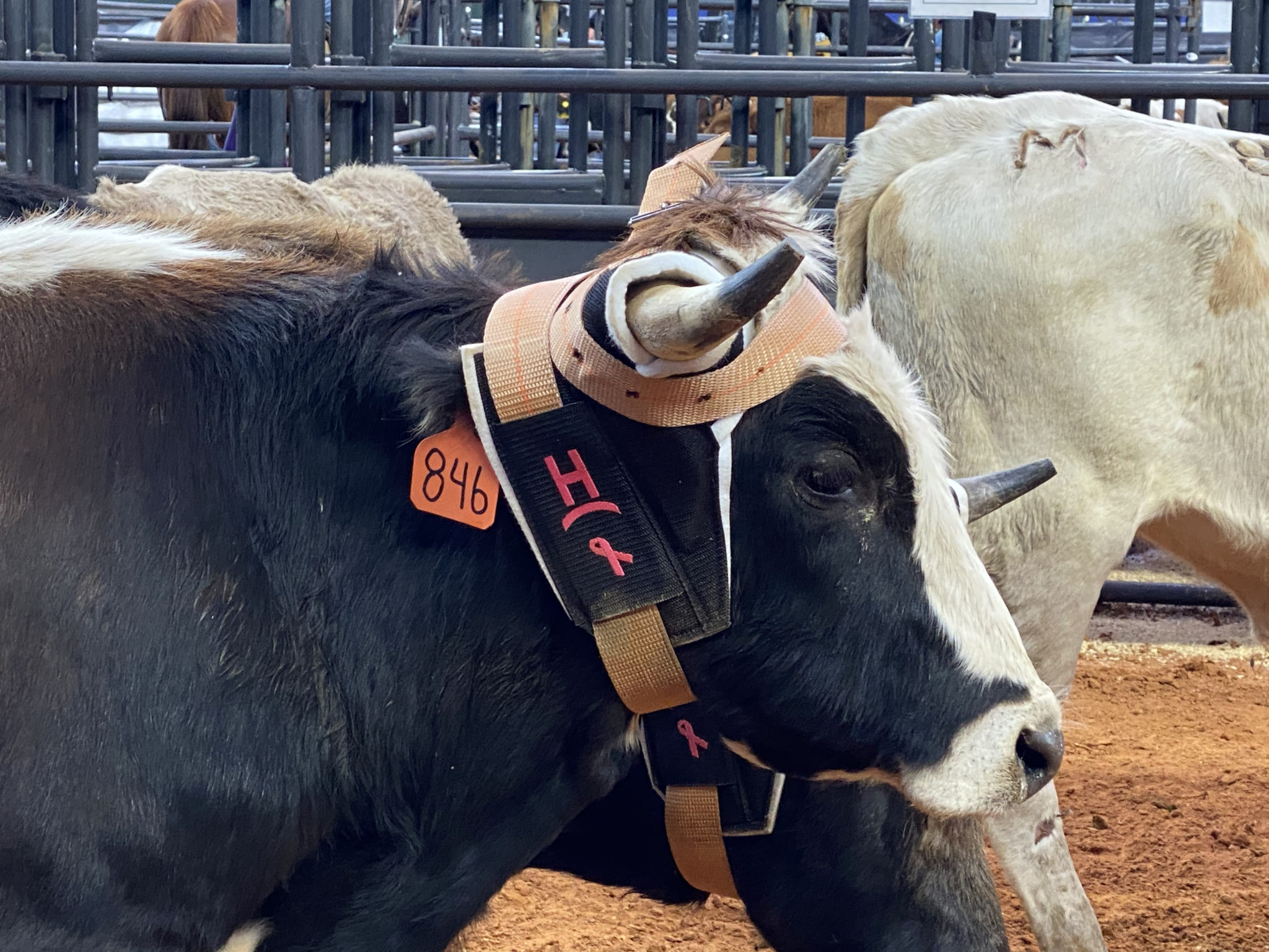 NFR 2020 Steer Report: Round 6