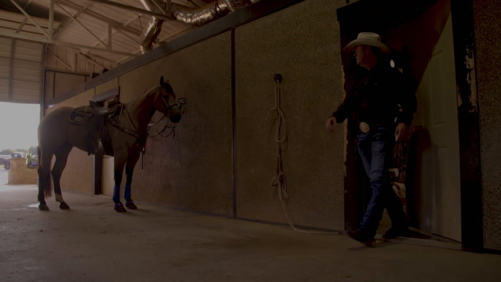 Rope Horse Saddle Fit with Trevor Brazile - The Team Roping Journal