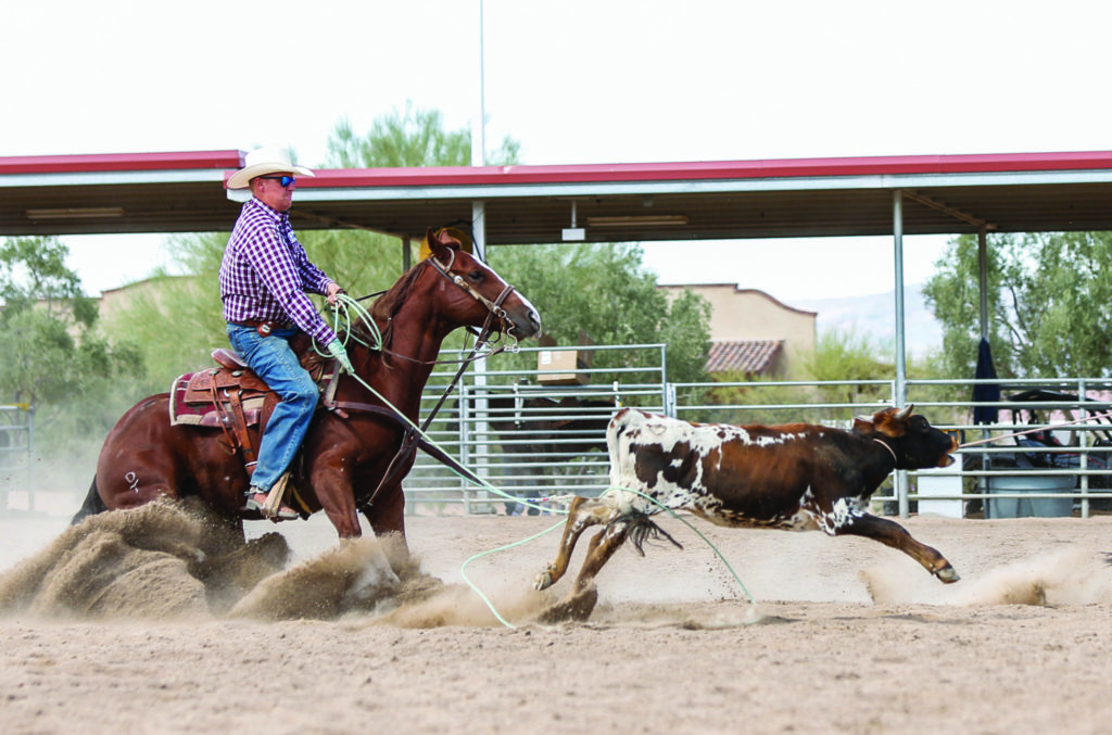 The Team Roping Journal's 2021 Breeder's Guide