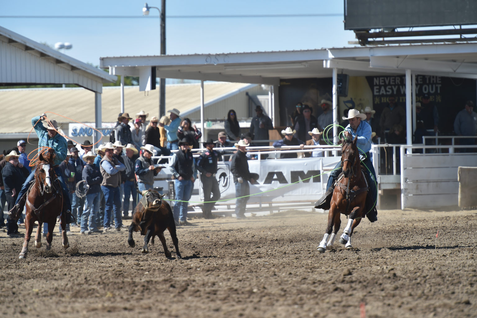 Recipe for Success: Brandon Webb Balances 3S Services and Roping Careers