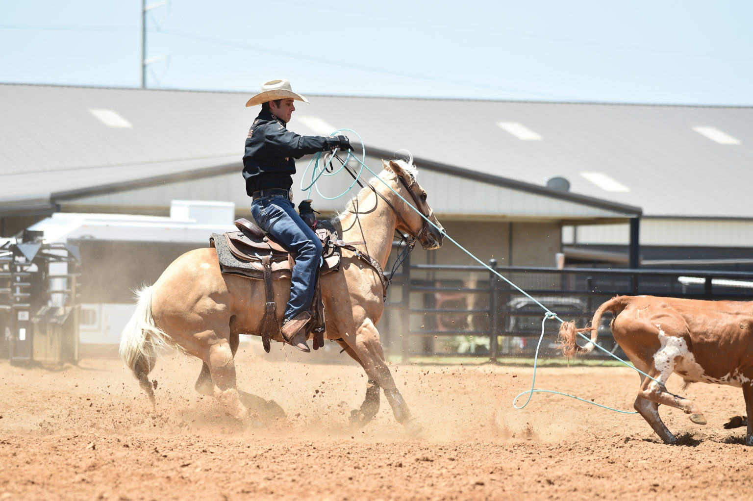 Gain Control on Slower-Loping Cattle with Patrick Smith