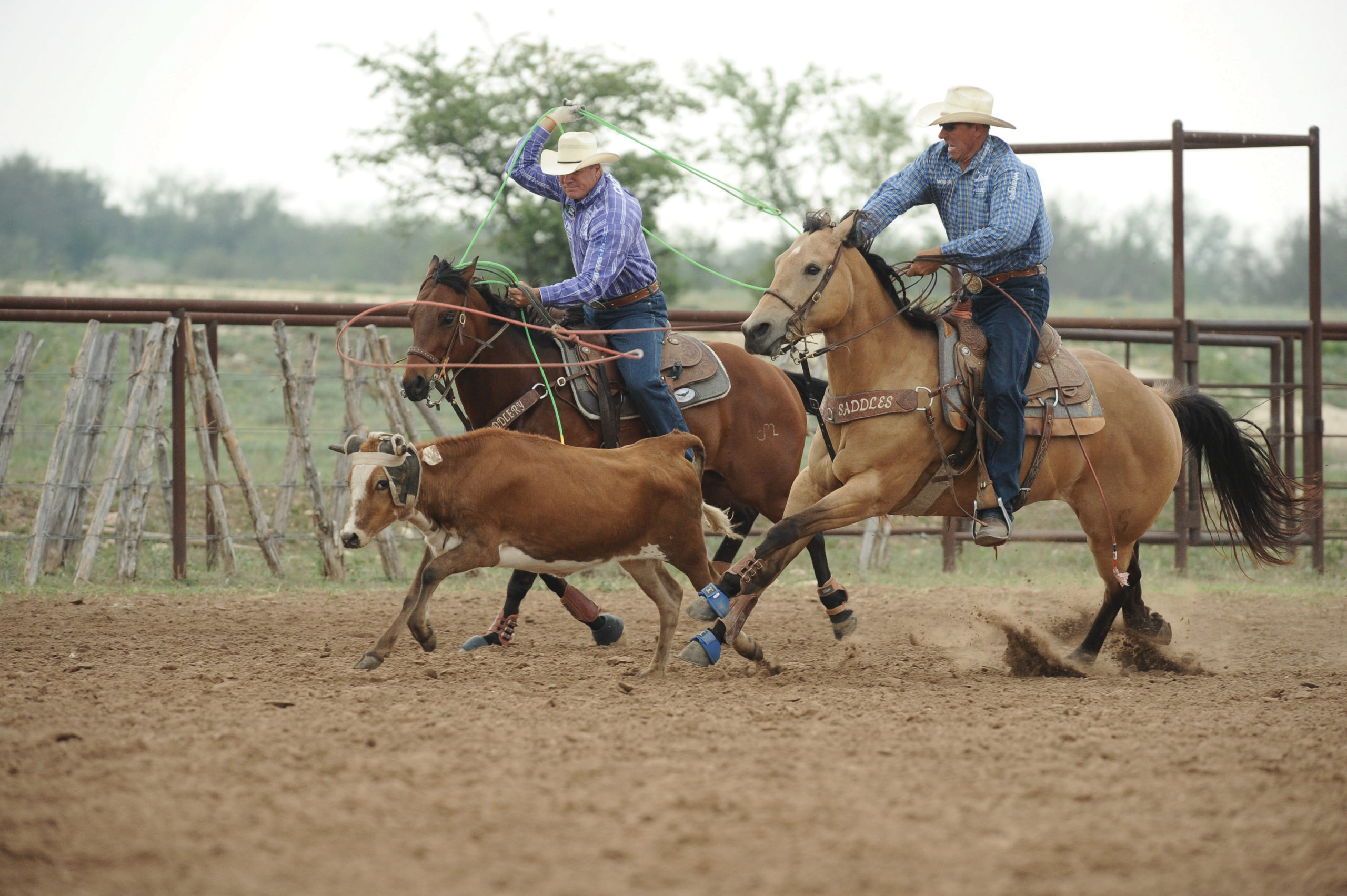 Roping.com now Powered by The Team Roping Journal