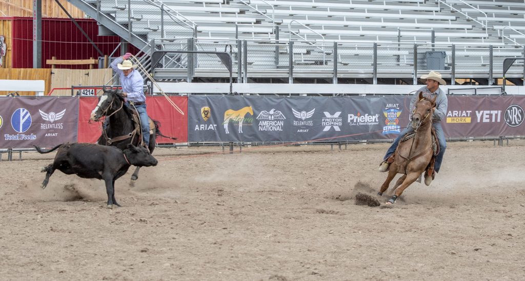 Roping Muleys: What You Need to Know