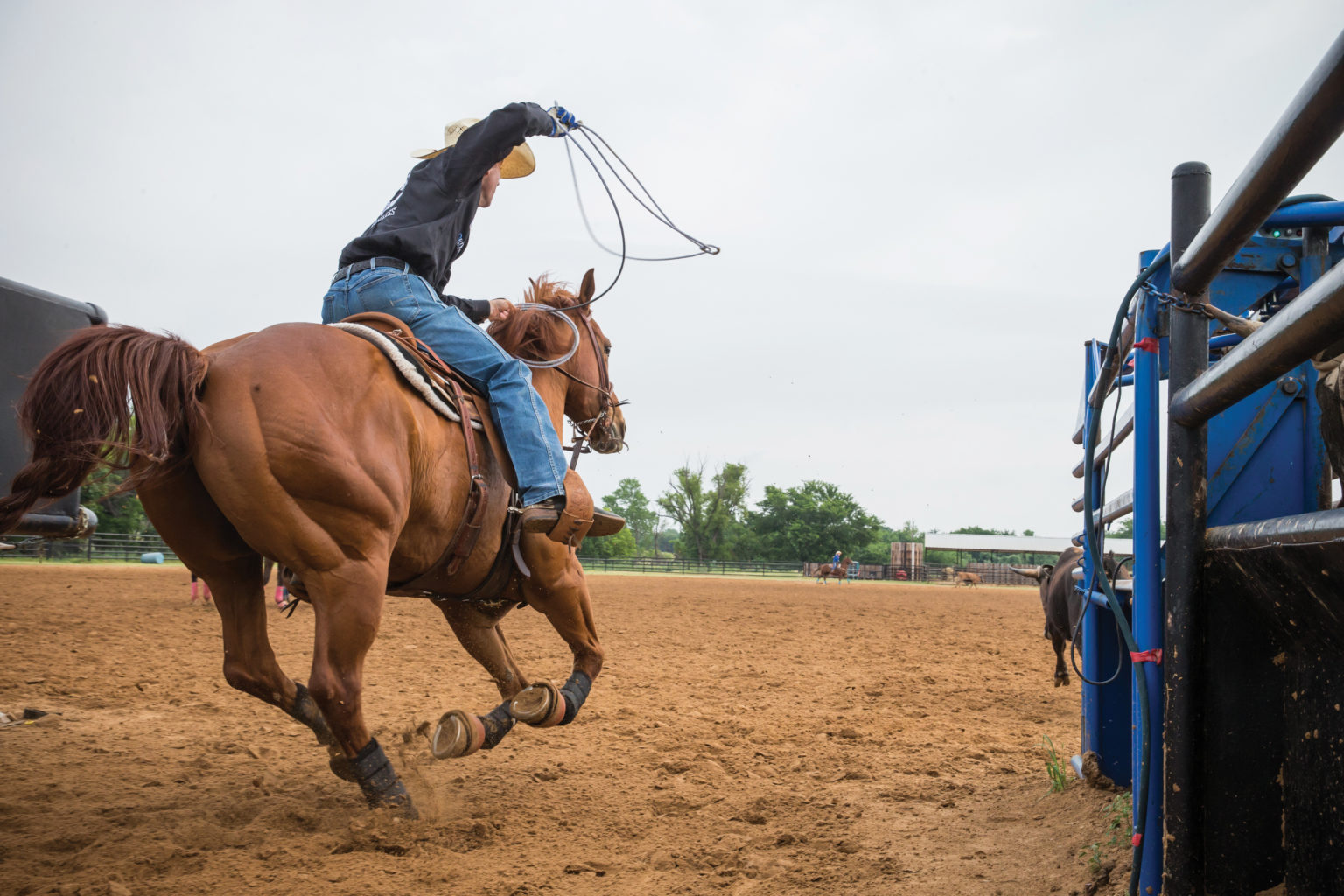 Free Your Horse Up with Trevor Brazile