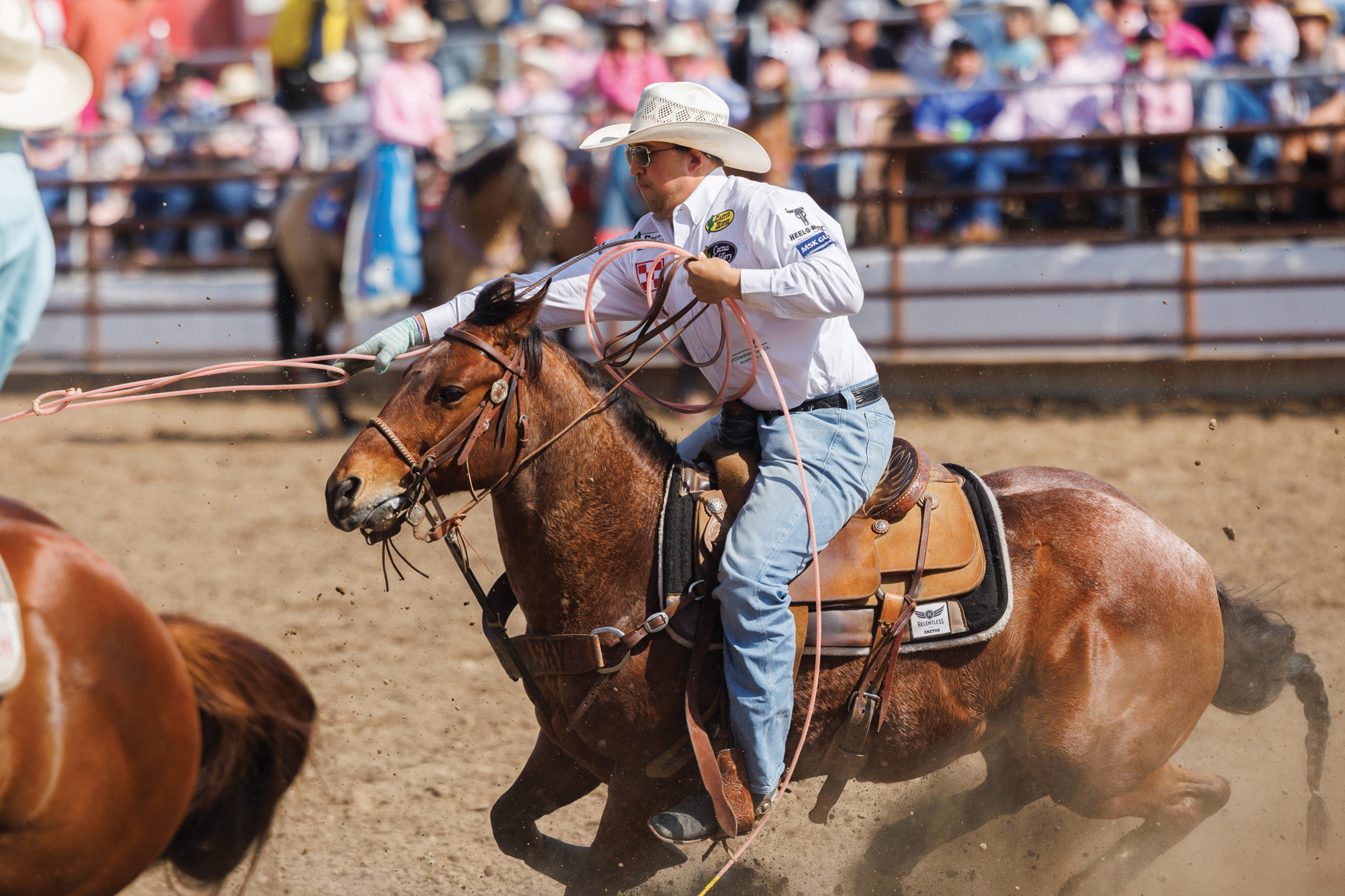 Master of the Muleys: Levi Lord Talks Clovis Rodeo