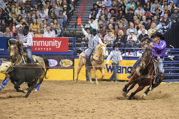 Top 5 Winningest Bits in Professional Team Roping