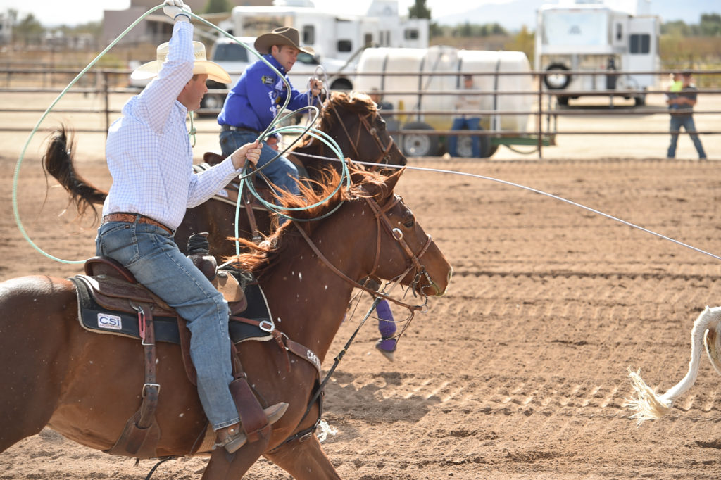 Navigating Sibling Team Roping Partnerships Ain't for the Faint