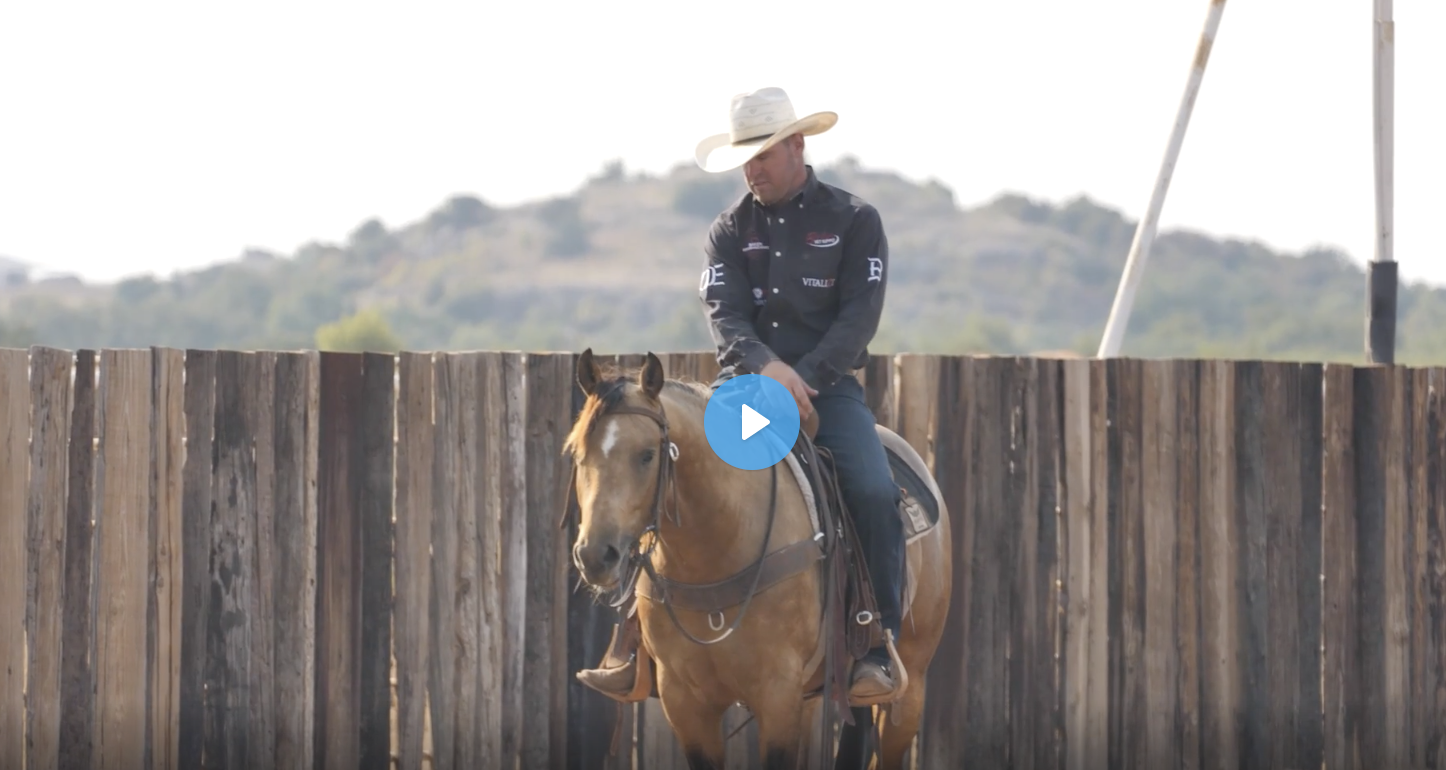 Colt-Starting Series: Teaching the Step Across