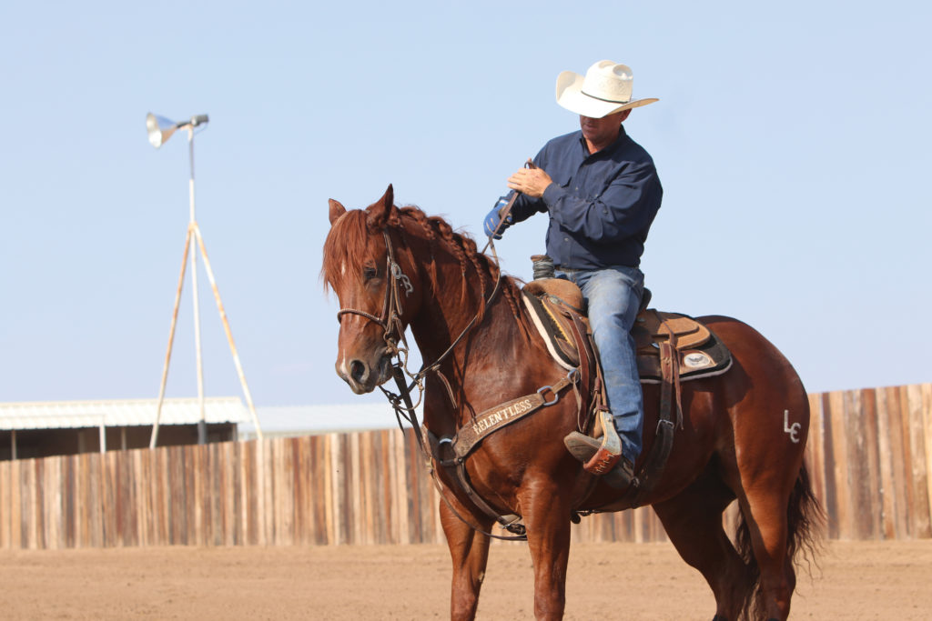 Trevor Brazile's Guide for Protecting Your Horse Investment