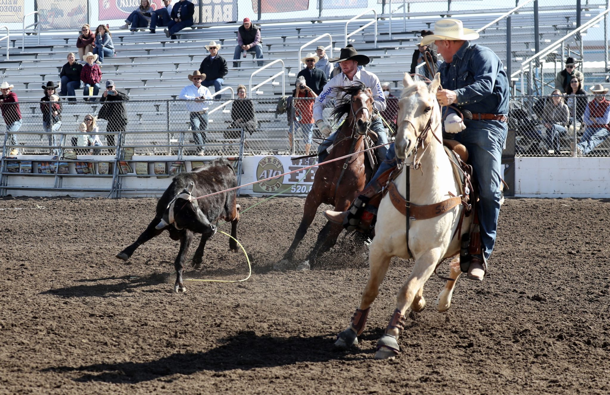 Both Hands Matter to Every Team Roper