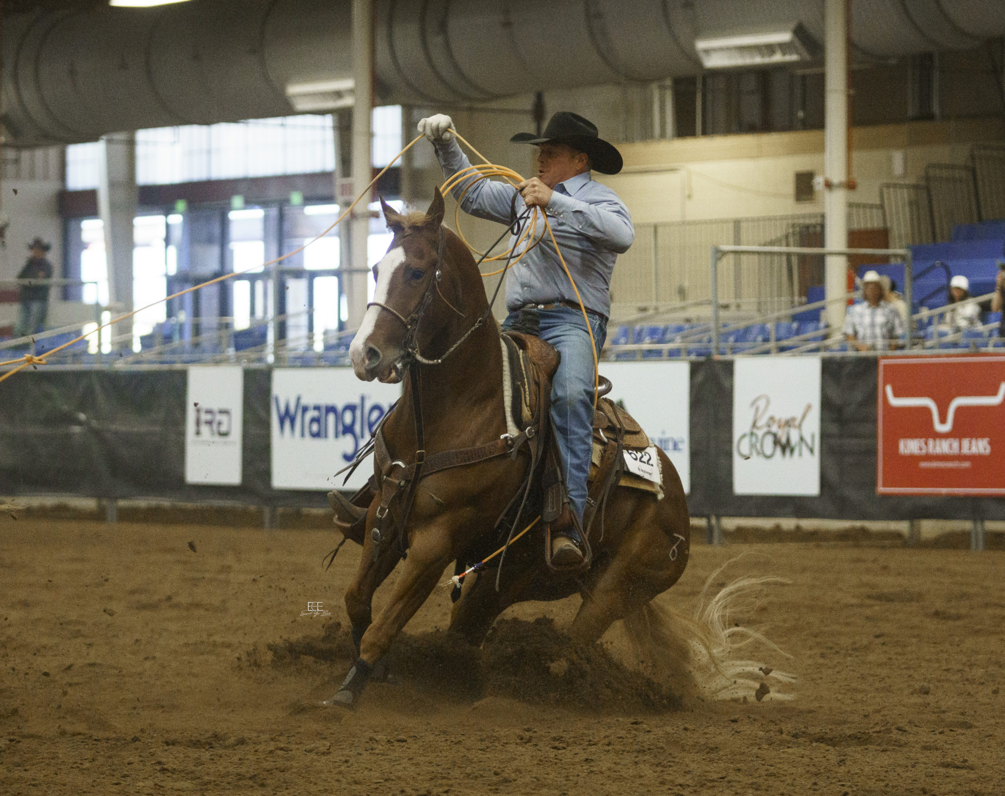 Orth and Dual Oak E Win ARHFA Sun Circuit Heeling