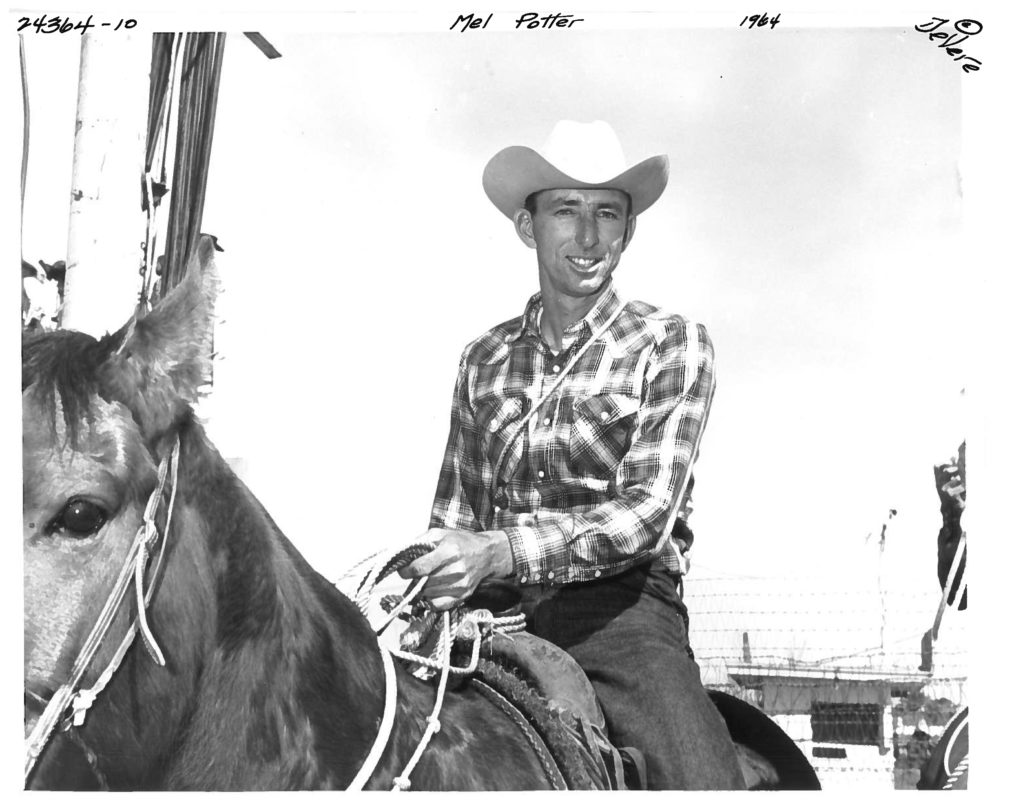 The Horseman's Breeder: Mel Potter