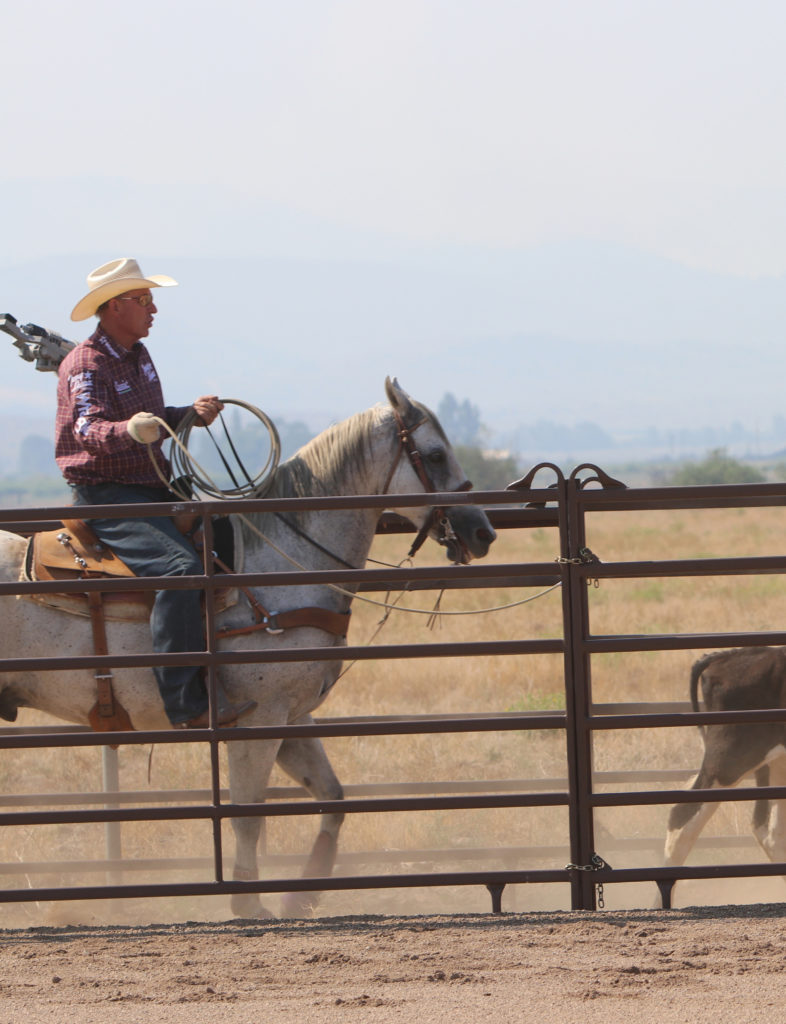 What’s Your Reason for Roping?
