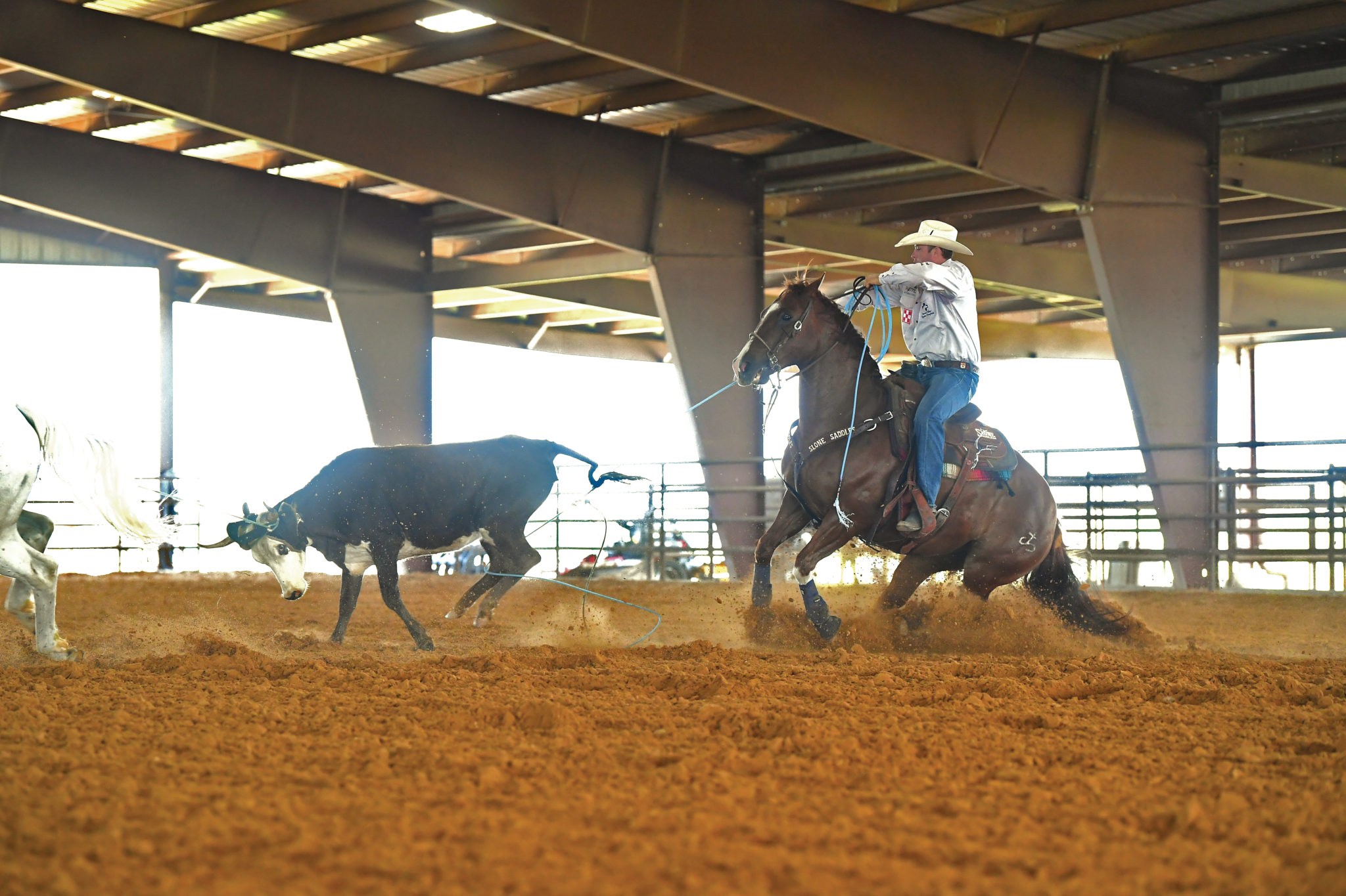 How to Slow Your Heel Horse Down with Chase Tryan